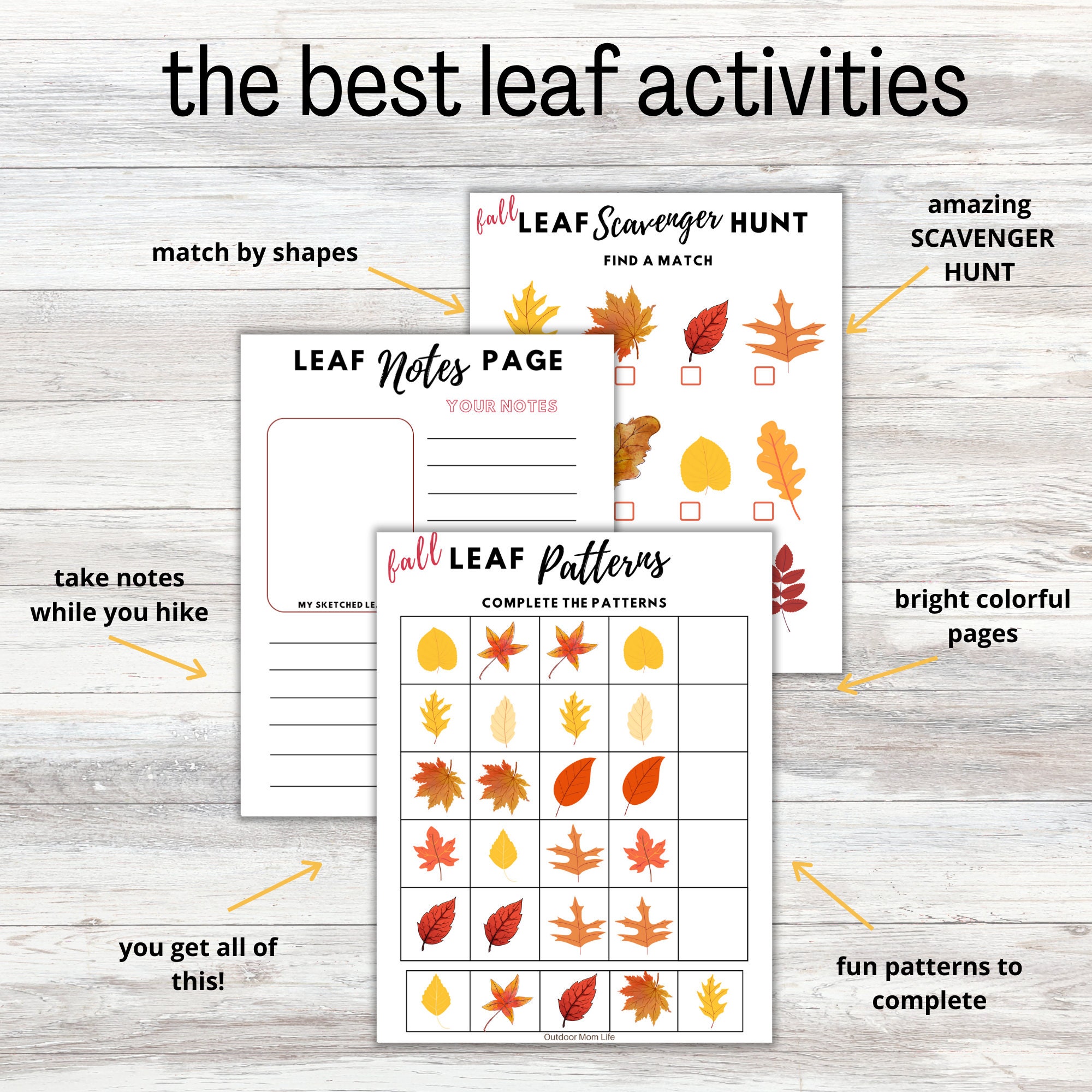 FALL LEAF ACTIVITY Pack | Fall Leaf Scavenger Hunt | Nature Printable ...