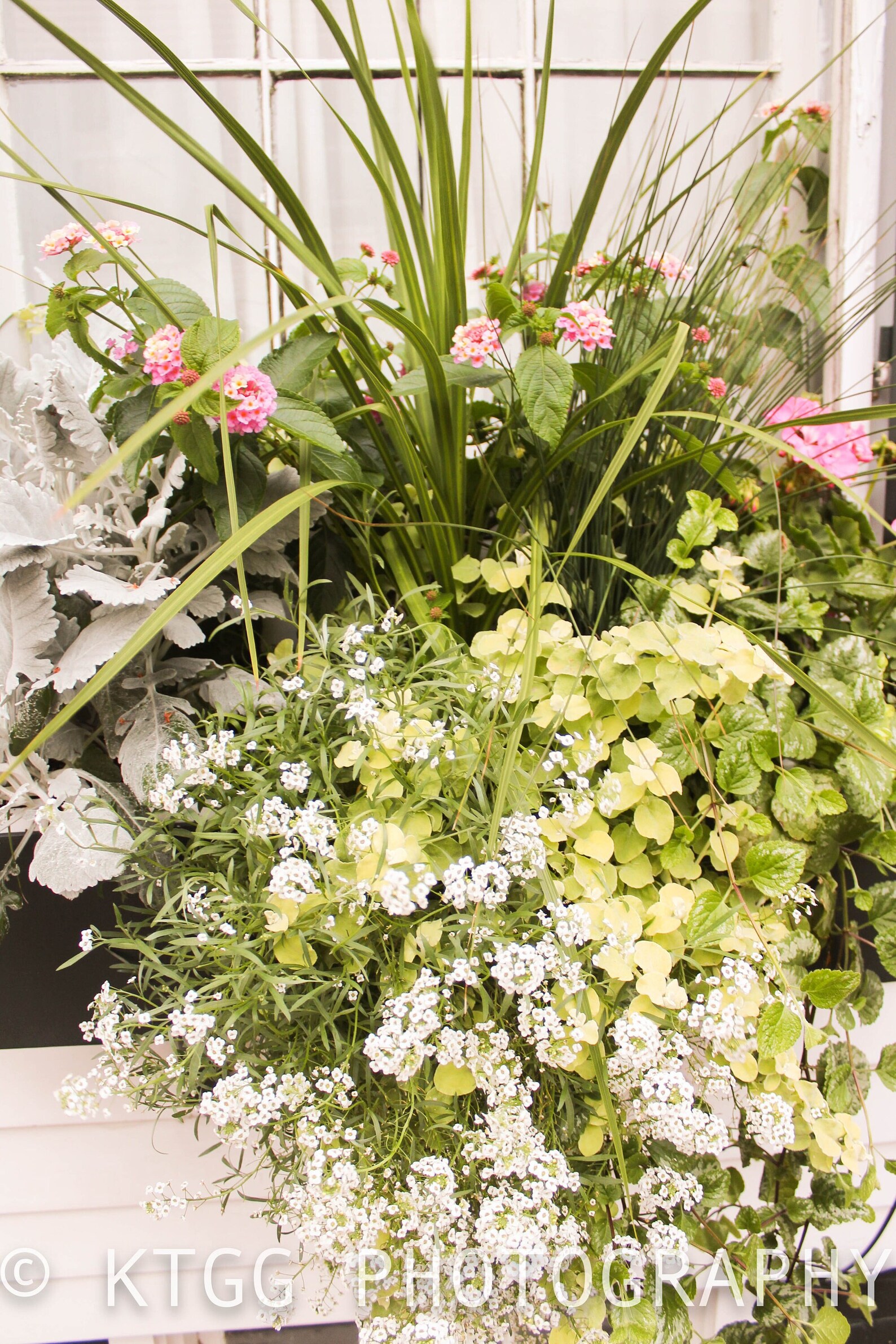 Nantucket Window Flower Garden Print, Nantucket Summer, Flower Design ...