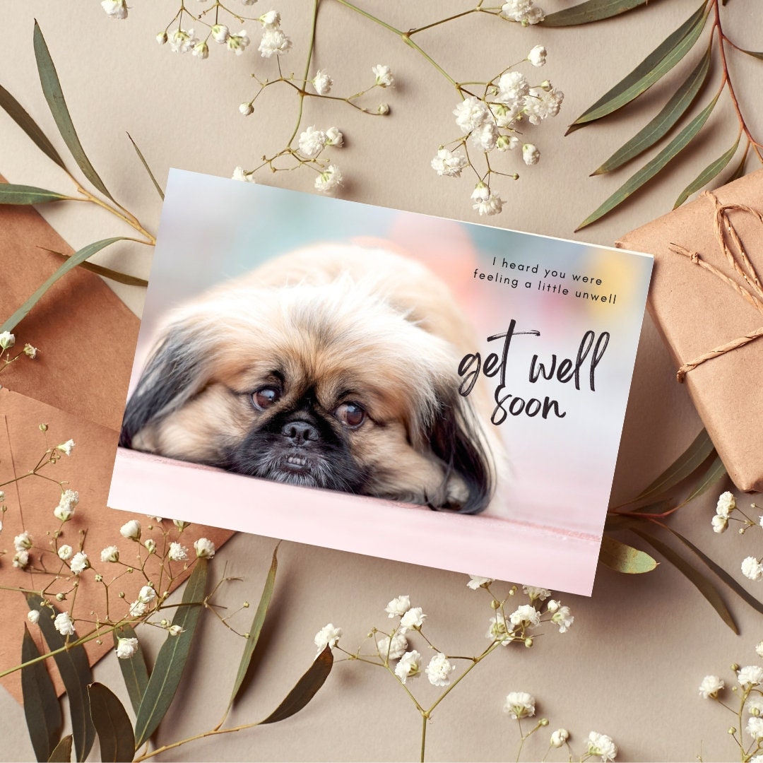 Get Well Soon Greeting Card Dog Card Dogs 5 X 7 Card - Etsy