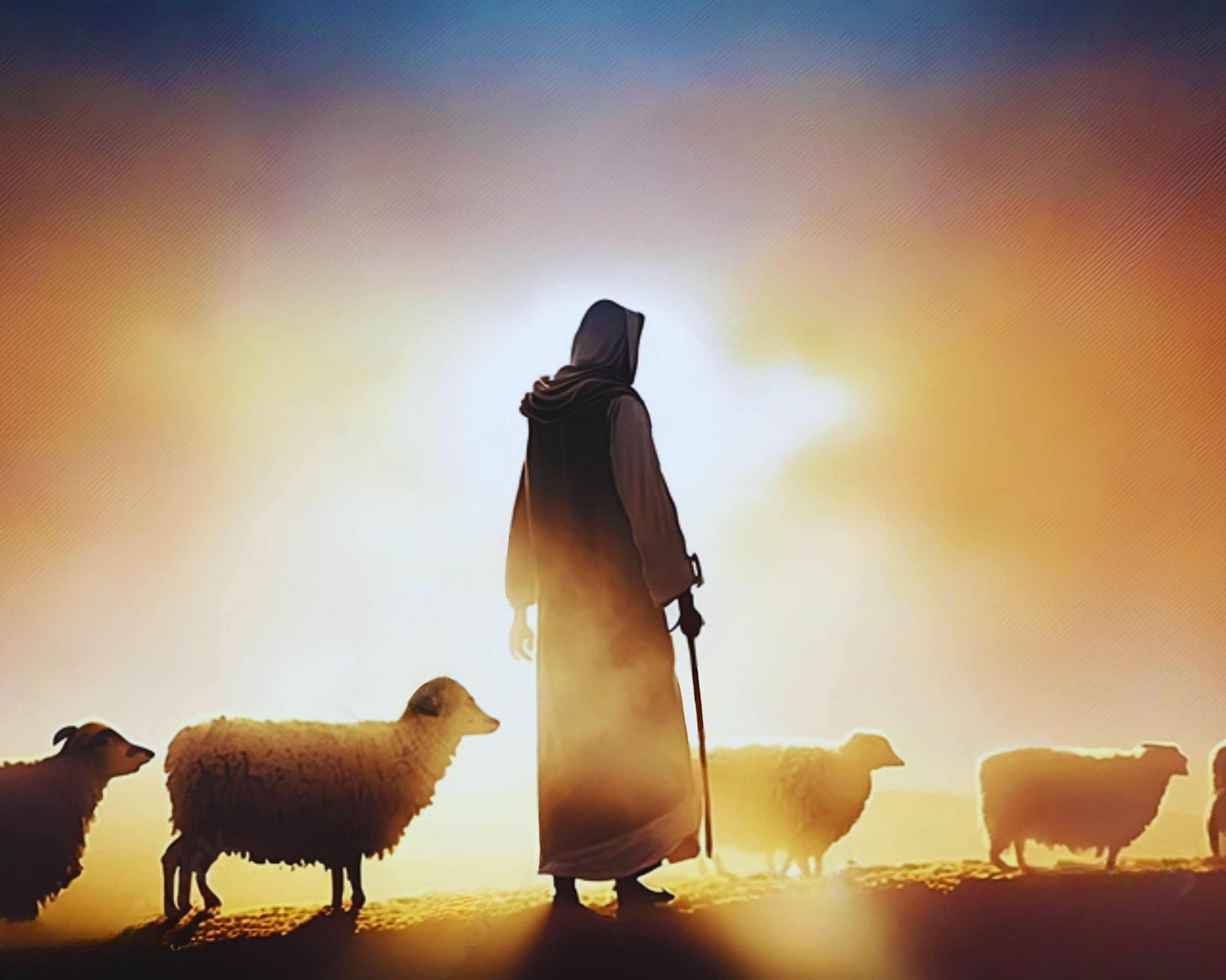 Digital Jesus Portrait, Jesus Watching Over Sheep, the Good Shepherd ...
