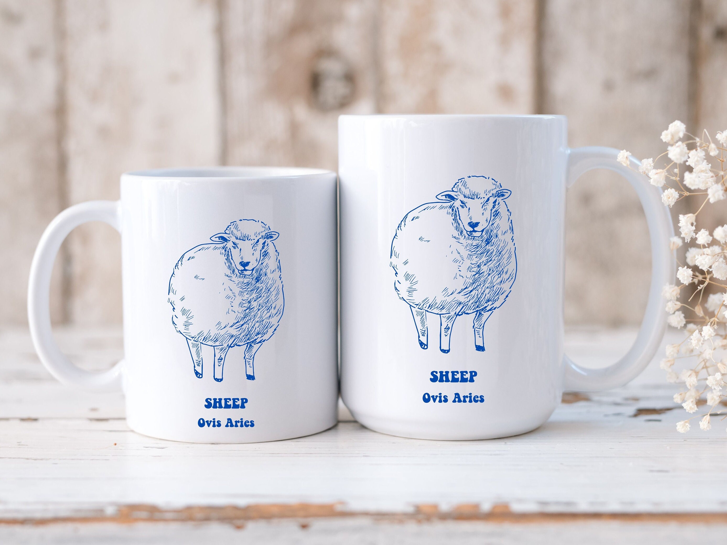 Animal Names in Latin Gift Mugs for Biology Teacher, Gift Mug for ...