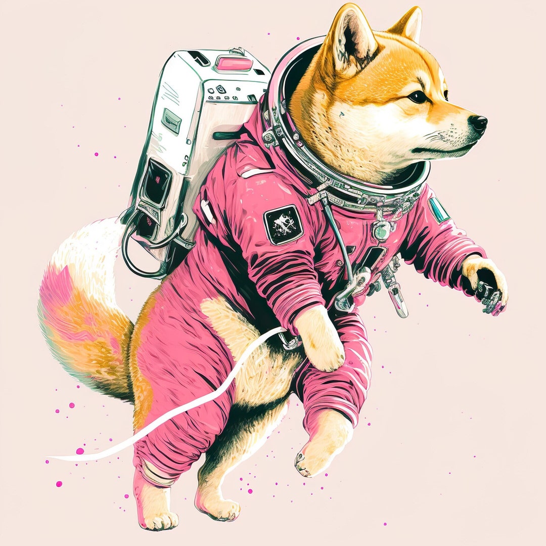 Doge Bag Shiba Inu for Gift Box for Friend Dank Meme for A Friend Osrs ...