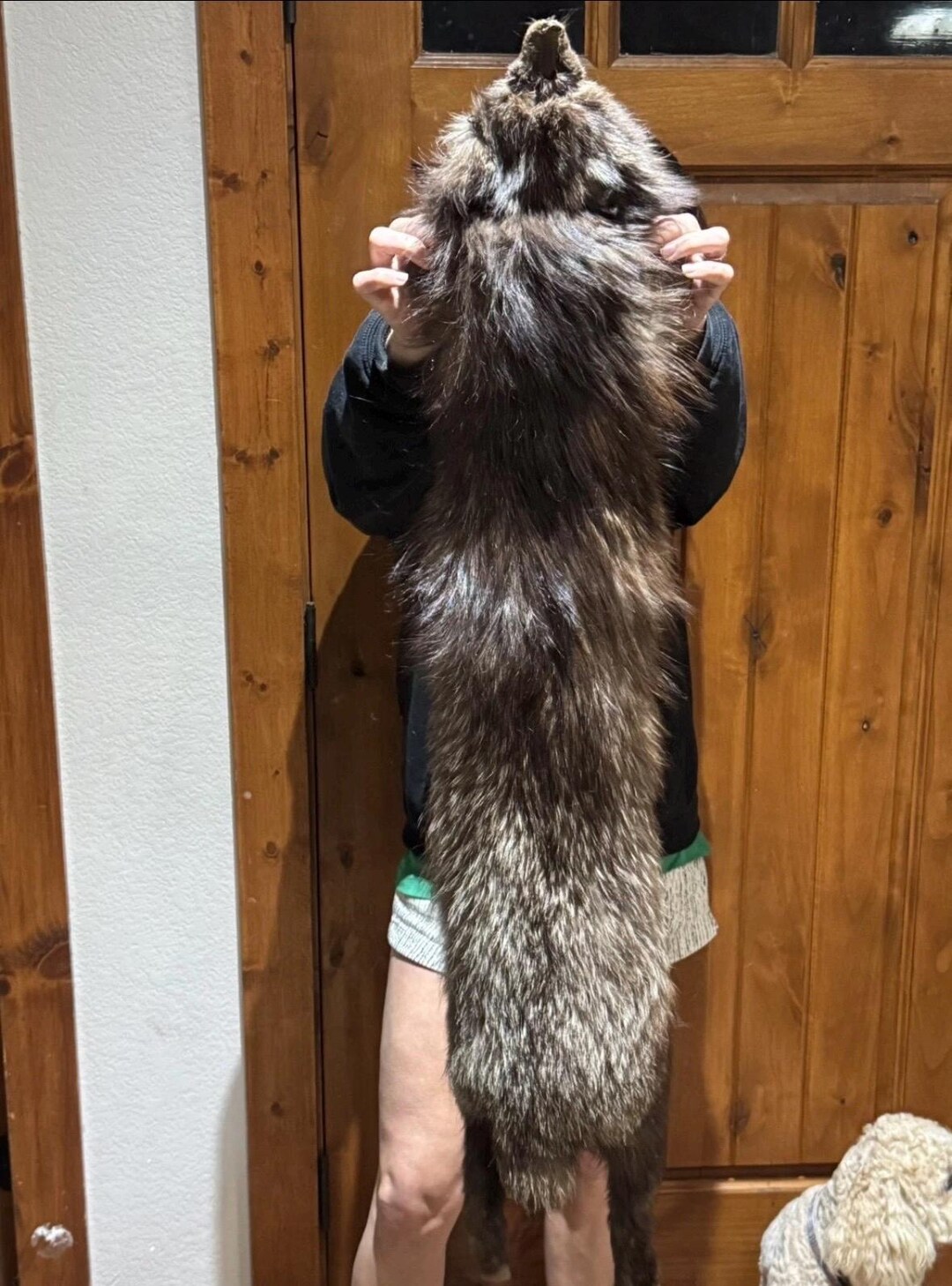 Genuine Natural Tanned Silver Fox Hides Fur Pelts Real Fox Skin 1346 - Etsy