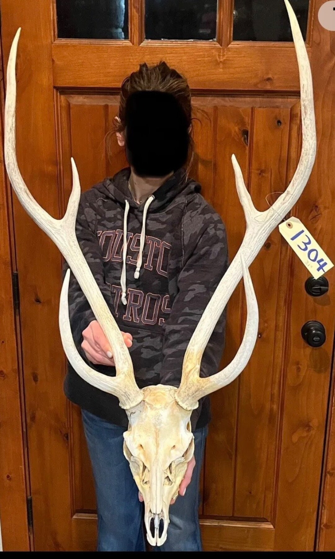 Axis Skull, 31 Beams, Mount, Taxidermy, European Mount, Man Cave Lodge ...