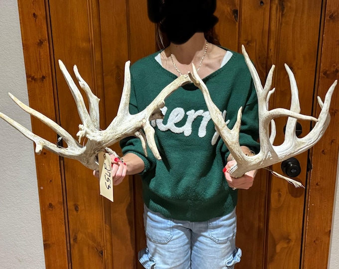 Huge 110 & 108 Whitetail Deer CUTS Shed Antlers Taxidermy Mount Decor ...