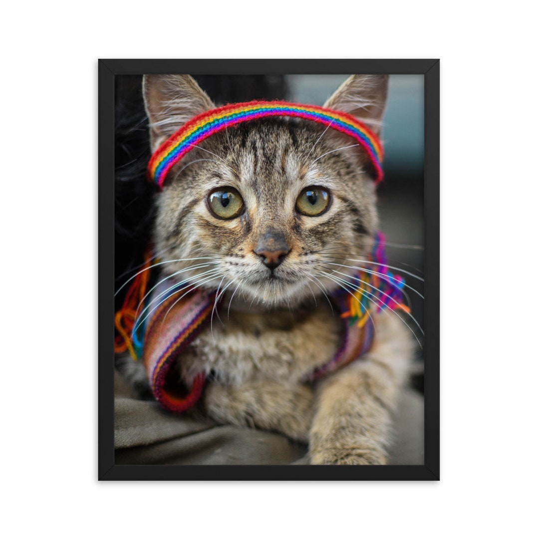 Peruvian Street Cat - Framed Poster Print Wall Decor Art - Ready to ...
