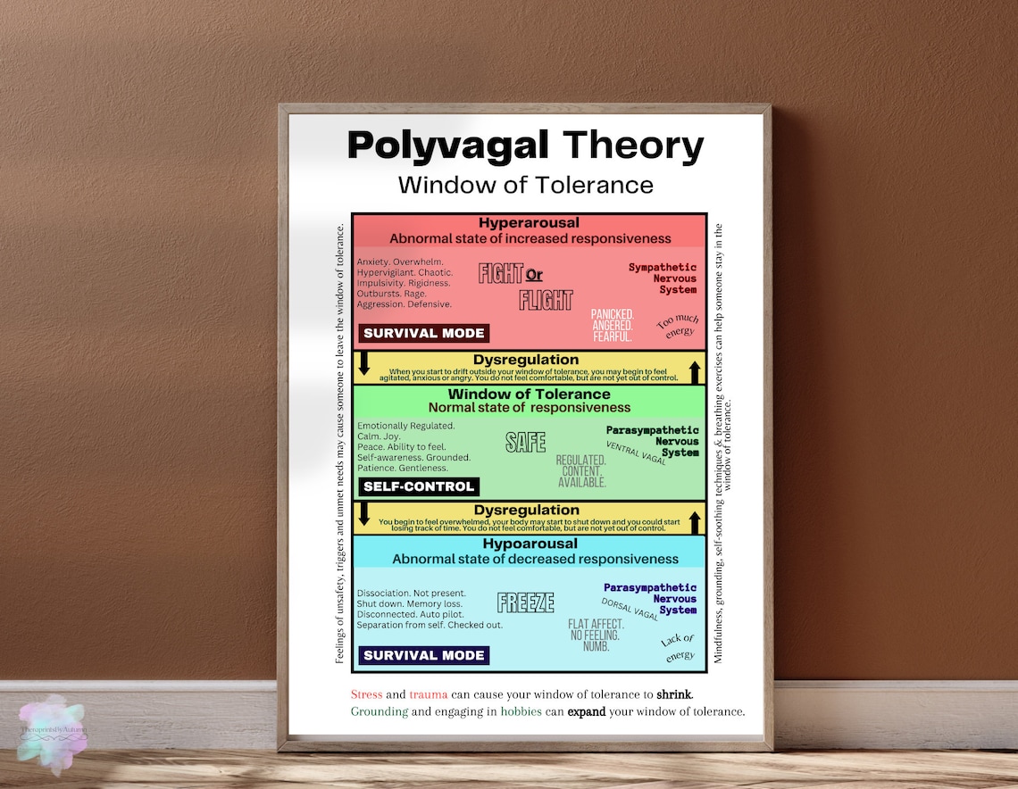 Polyvagal Theory: Window of Tolerance, Trauma, Distress Diagram Graphic ...