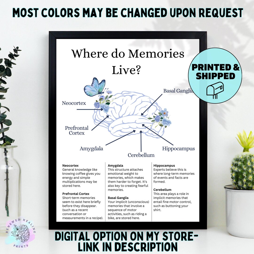 Where Do Memories Live, Brain Diagram, Blue Floral Print Butterfly for ...