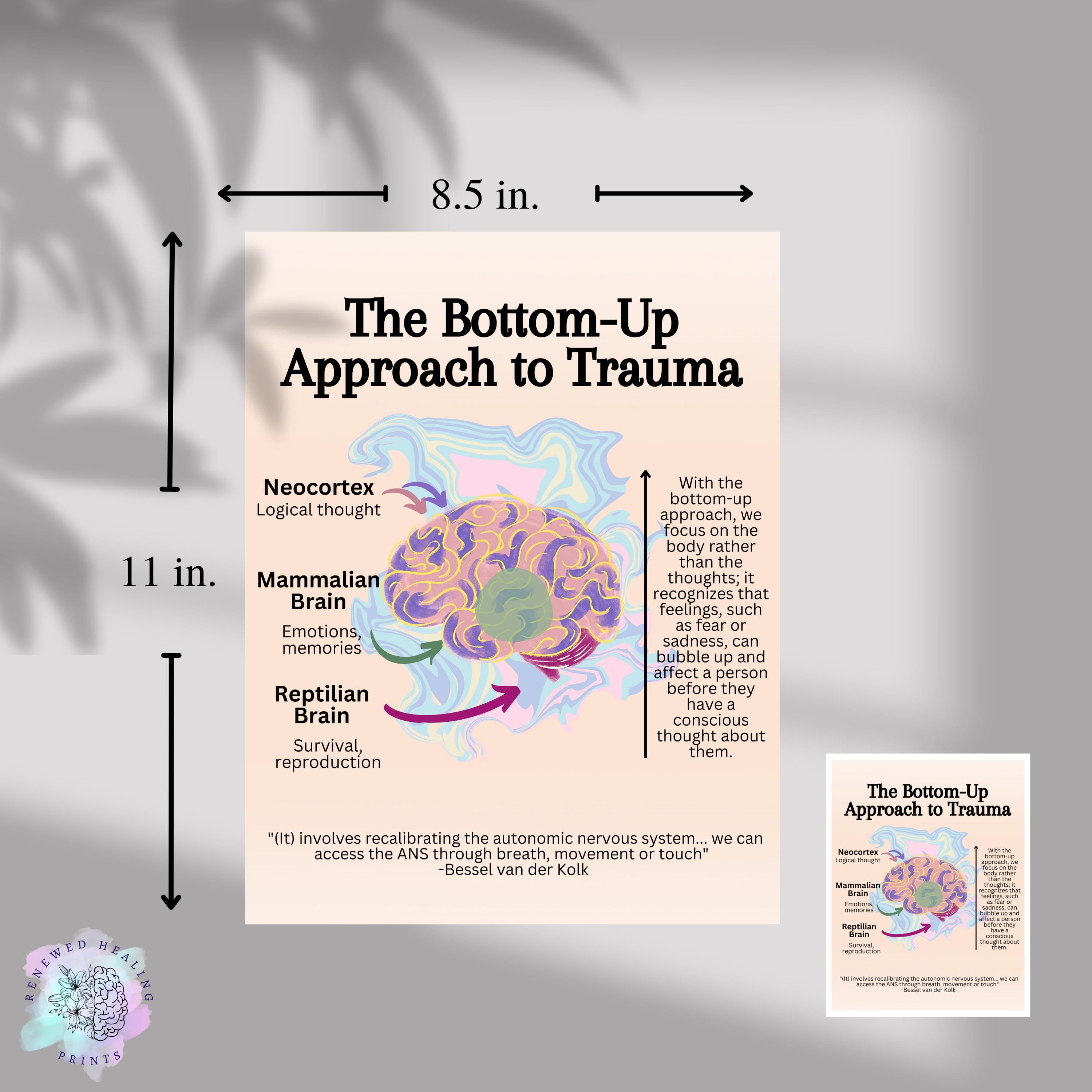 The Bottom-up Approach to Trauma for Social Workers, Therapists ...