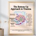 The Bottom-up Approach to Trauma for Social Workers, Therapists ...