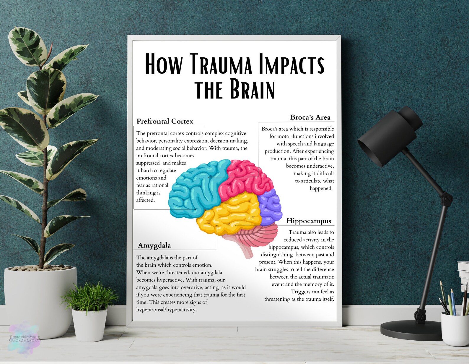 How Trauma Impacts the Brain Therapy Office Decor Social - Etsy