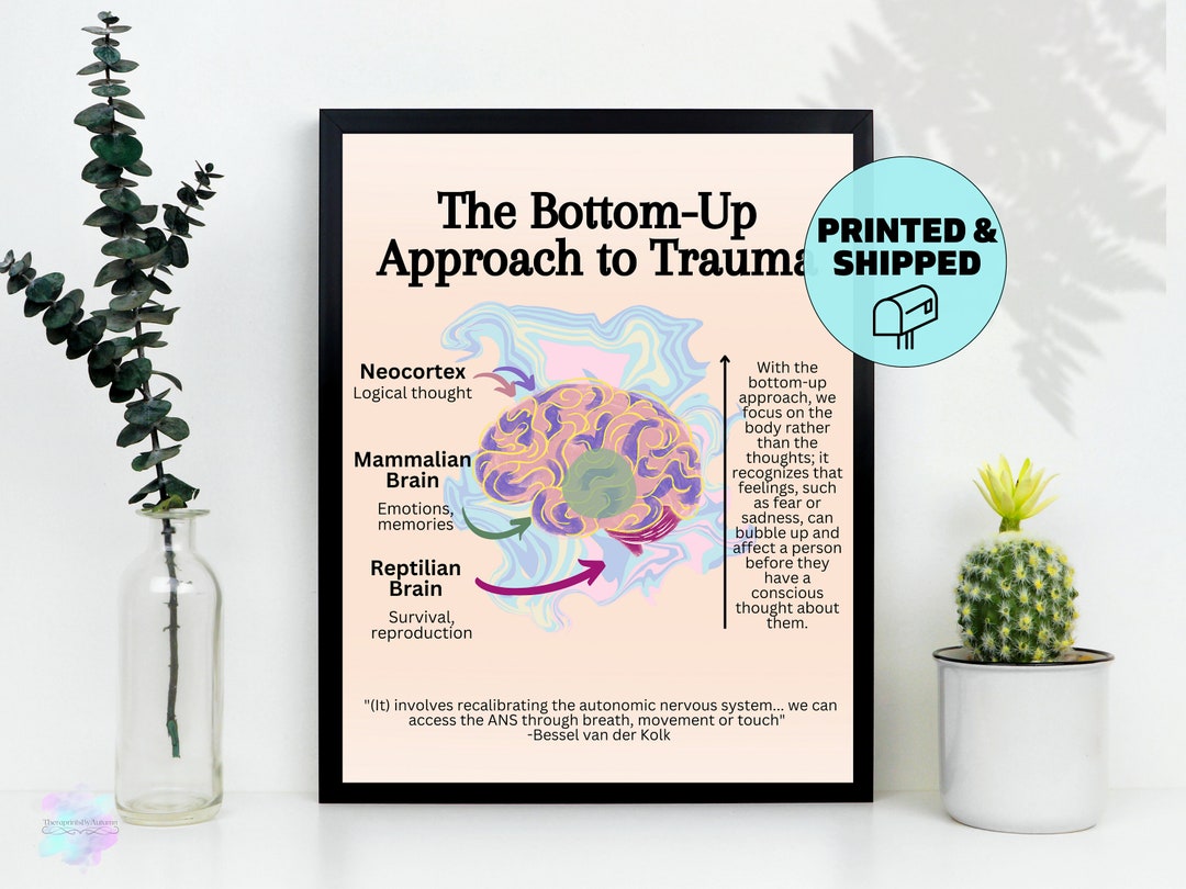 The Bottom-up Approach to Trauma for Social Workers, Therapists ...