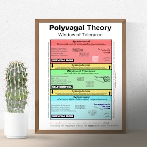 Polyvagal Theory: Window of Tolerance, Trauma, Distress Diagram Graphic ...