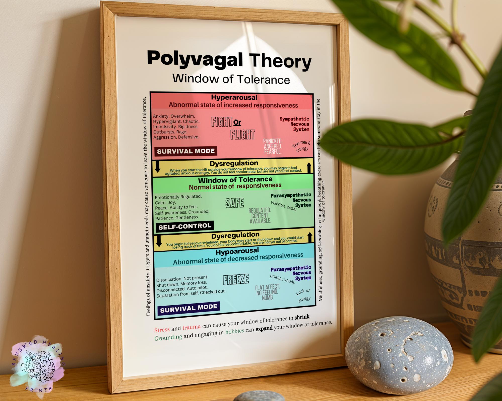 Polyvagal Theory Window of Tolerance Diagram: Therapist Office Decor - Etsy