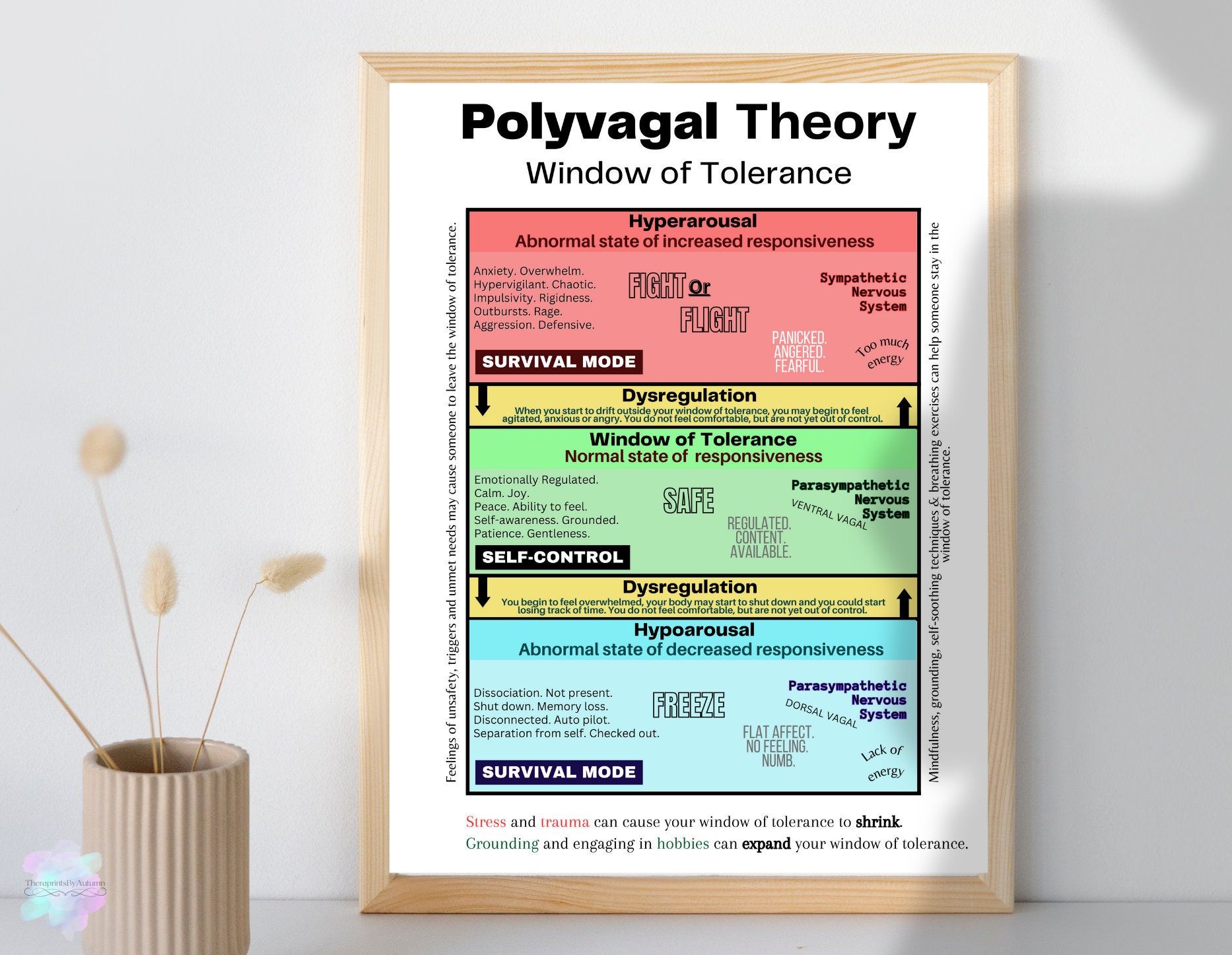 Polyvagal Theory: Window of Tolerance, Trauma, Distress Diagram Graphic ...