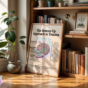 The Bottom-up Approach to Trauma for Social Workers, Therapists ...