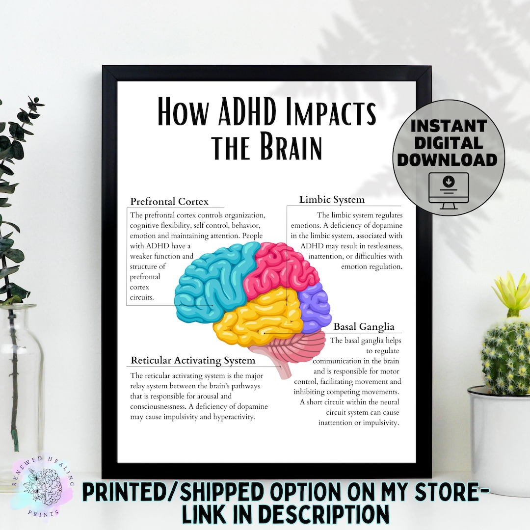 How ADHD Impacts the Brain | Attention-deficit/hyperactivity Disorder ...