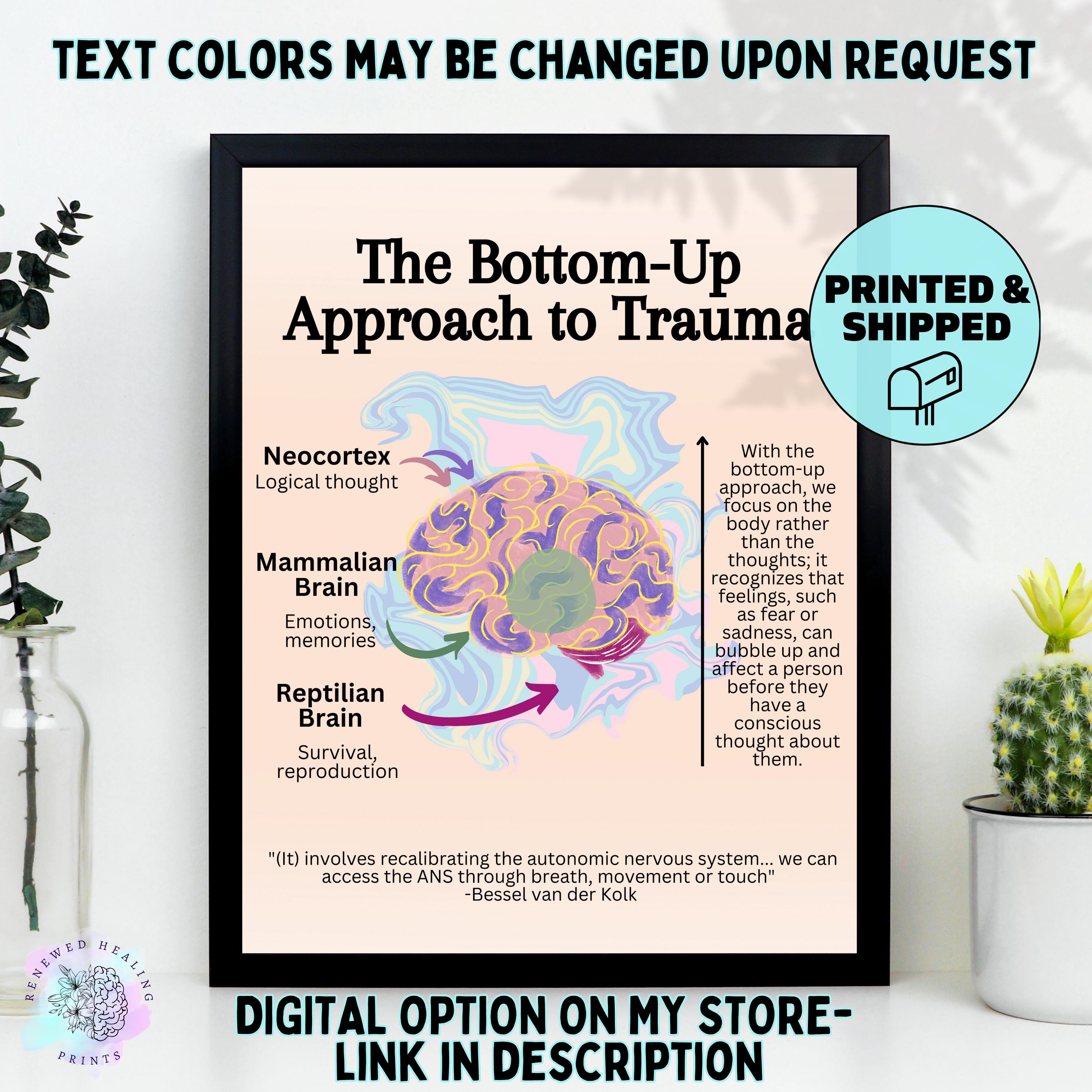 The Bottom-up Approach to Trauma for Social Workers, Therapists ...