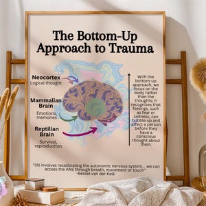 The Bottom-up Approach to Trauma for Social Workers, Therapists ...