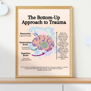 The Bottom-up Approach to Trauma for Social Workers, Therapists ...