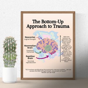The Bottom-up Approach to Trauma for Social Workers, Therapists ...