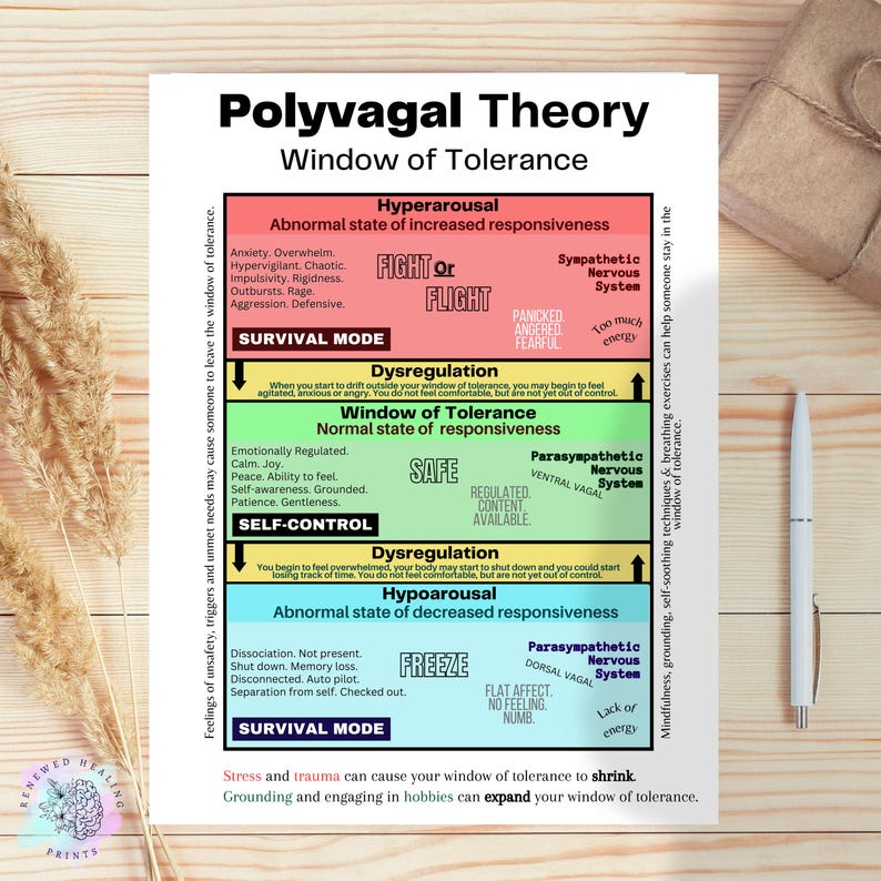Polyvagal Theory: Window of Tolerance, Trauma, Distress Diagram Graphic ...
