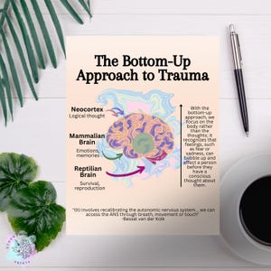 The Bottom-up Approach to Trauma for Social Workers, Therapists ...