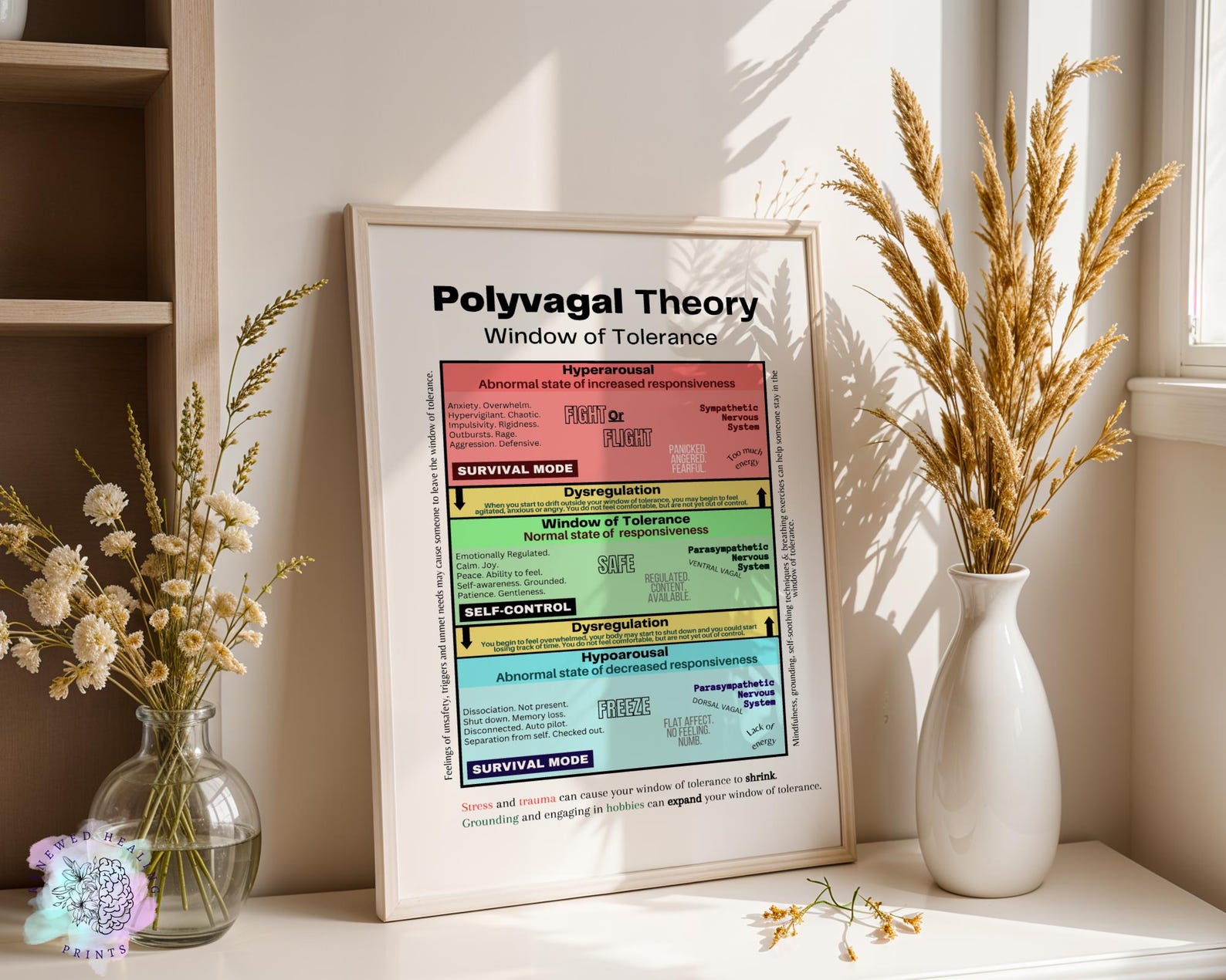 Polyvagal Theory Window of Tolerance Diagram: Therapist Office Decor - Etsy