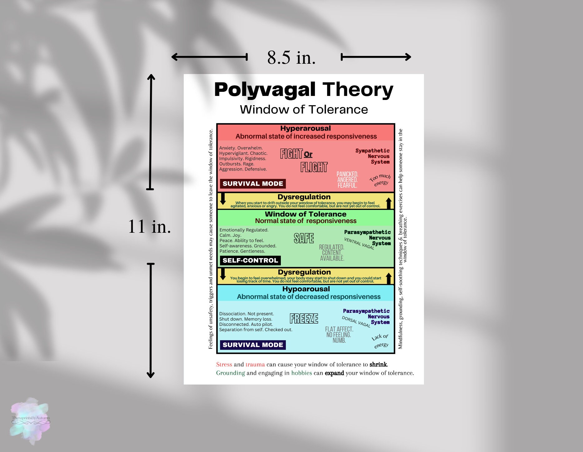 Polyvagal Theory: Window of Tolerance, Trauma, Distress Diagram Graphic ...