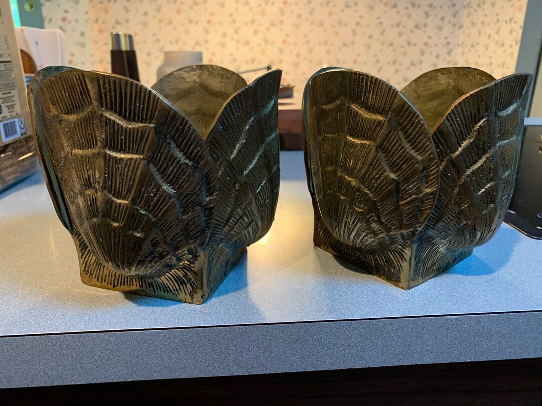 Brass Scallop Shell Planters - Etsy