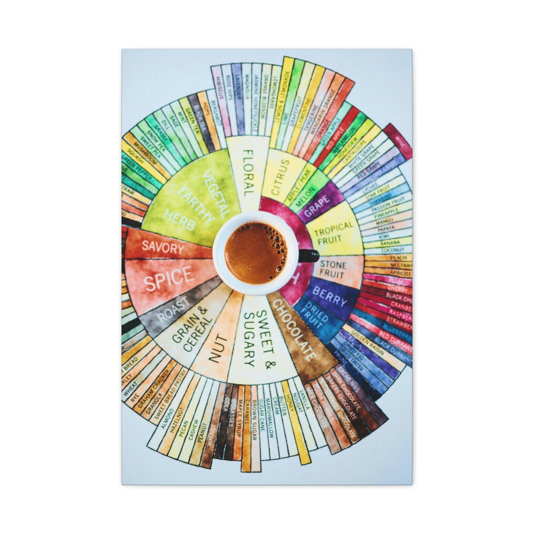 Antiquely Coffee Flavor Wheel Canvas Print Matte Finish - Etsy