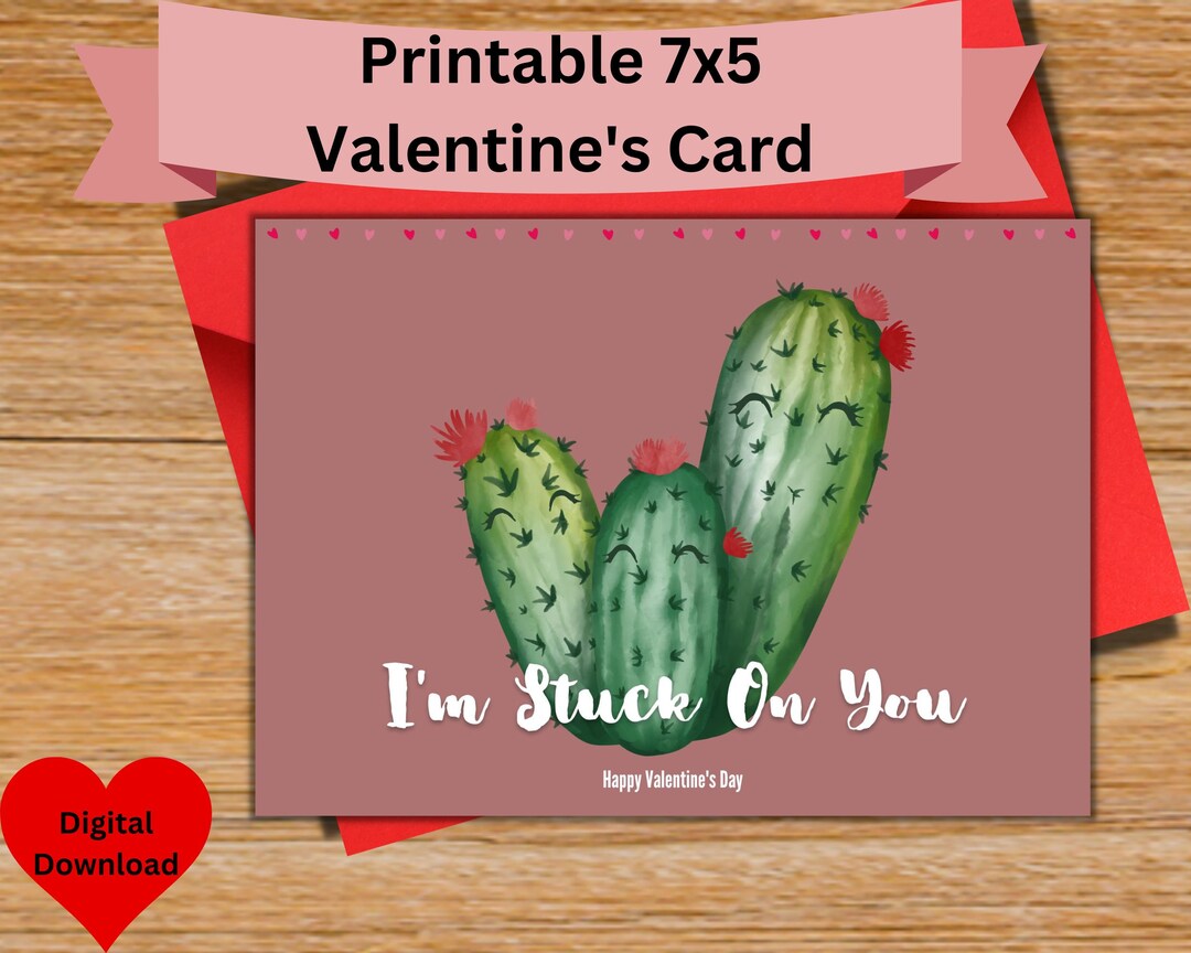 Cactus Valentine's Day Card - I'm Stuck on You, Funny Pun Greeting Card ...