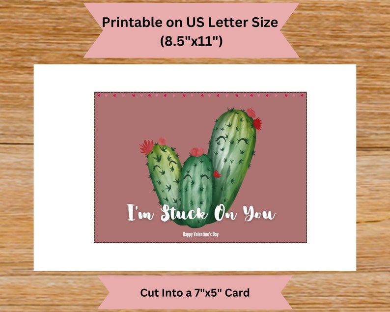 Cactus Valentine's Day Card - I'm Stuck on You, Funny Pun Greeting Card ...
