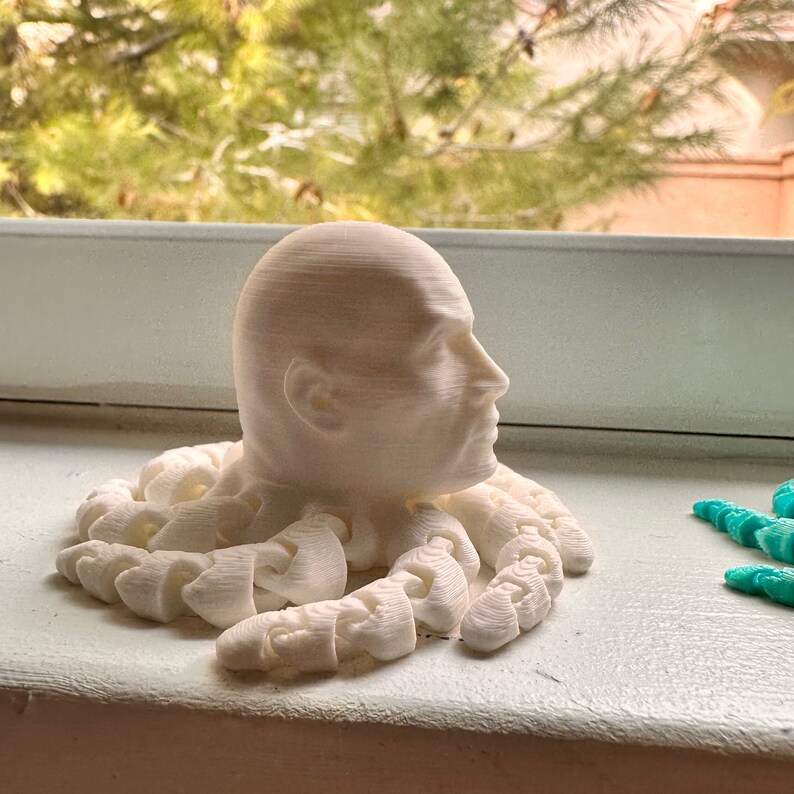 Rocktopus 3D Printed Dwane Johnson Articulated Fidget Toy - Etsy