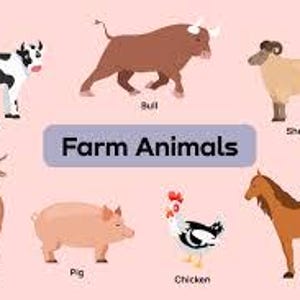 Farm Animals Coloring Pages - Etsy