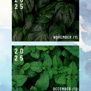 2025 Botanical Wall Calendar Minimalist Nature-inspired Monthly Planner ...