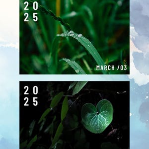2025 Botanical Wall Calendar Minimalist Nature-inspired Monthly Planner ...