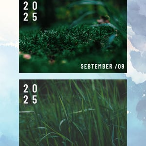 2025 Botanical Wall Calendar Minimalist Nature-inspired Monthly Planner ...