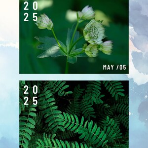 2025 Botanical Wall Calendar Minimalist Nature-inspired Monthly Planner ...