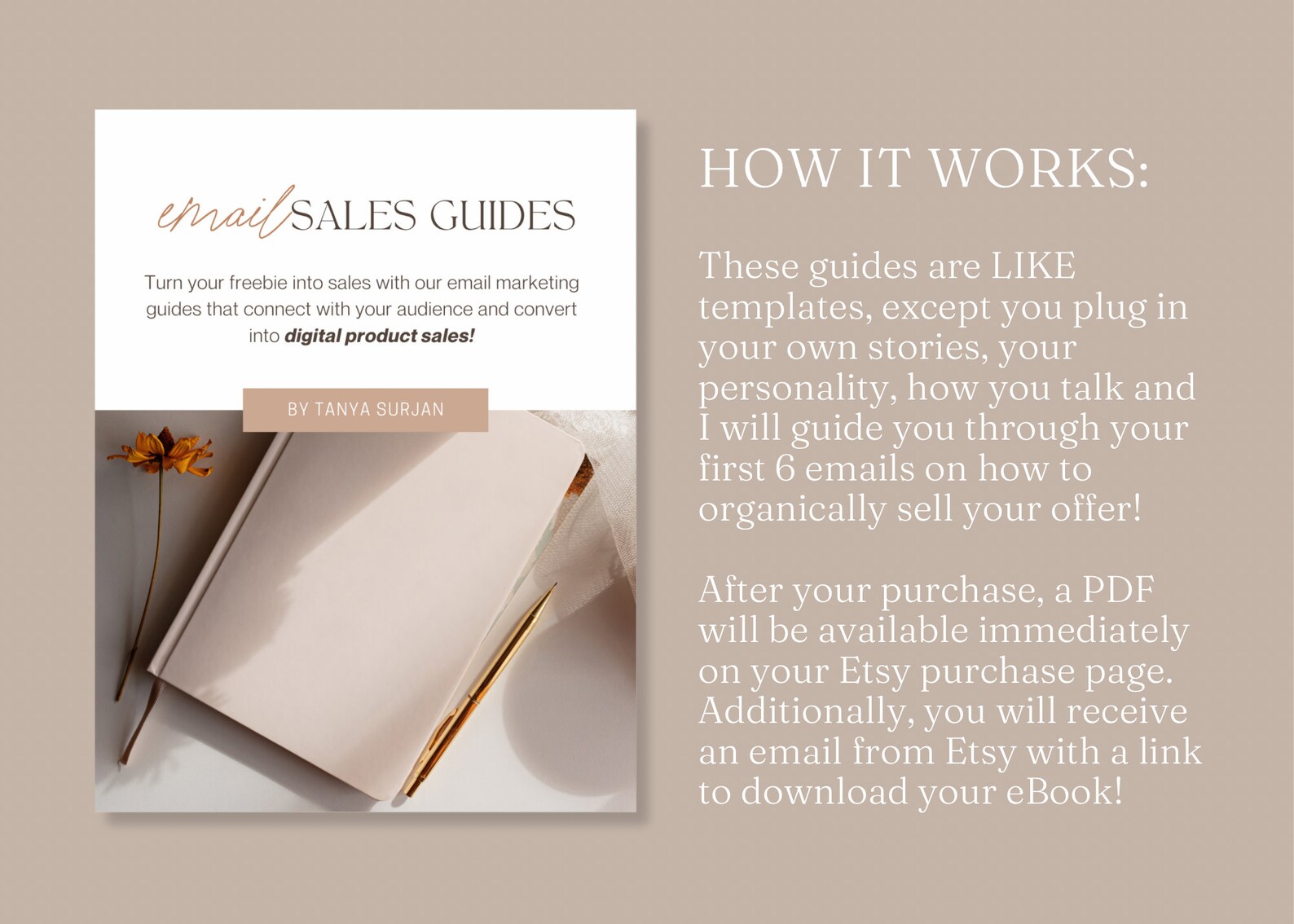 Email Marketing Templates Digital Product Sales Guides Email Newsletter ...