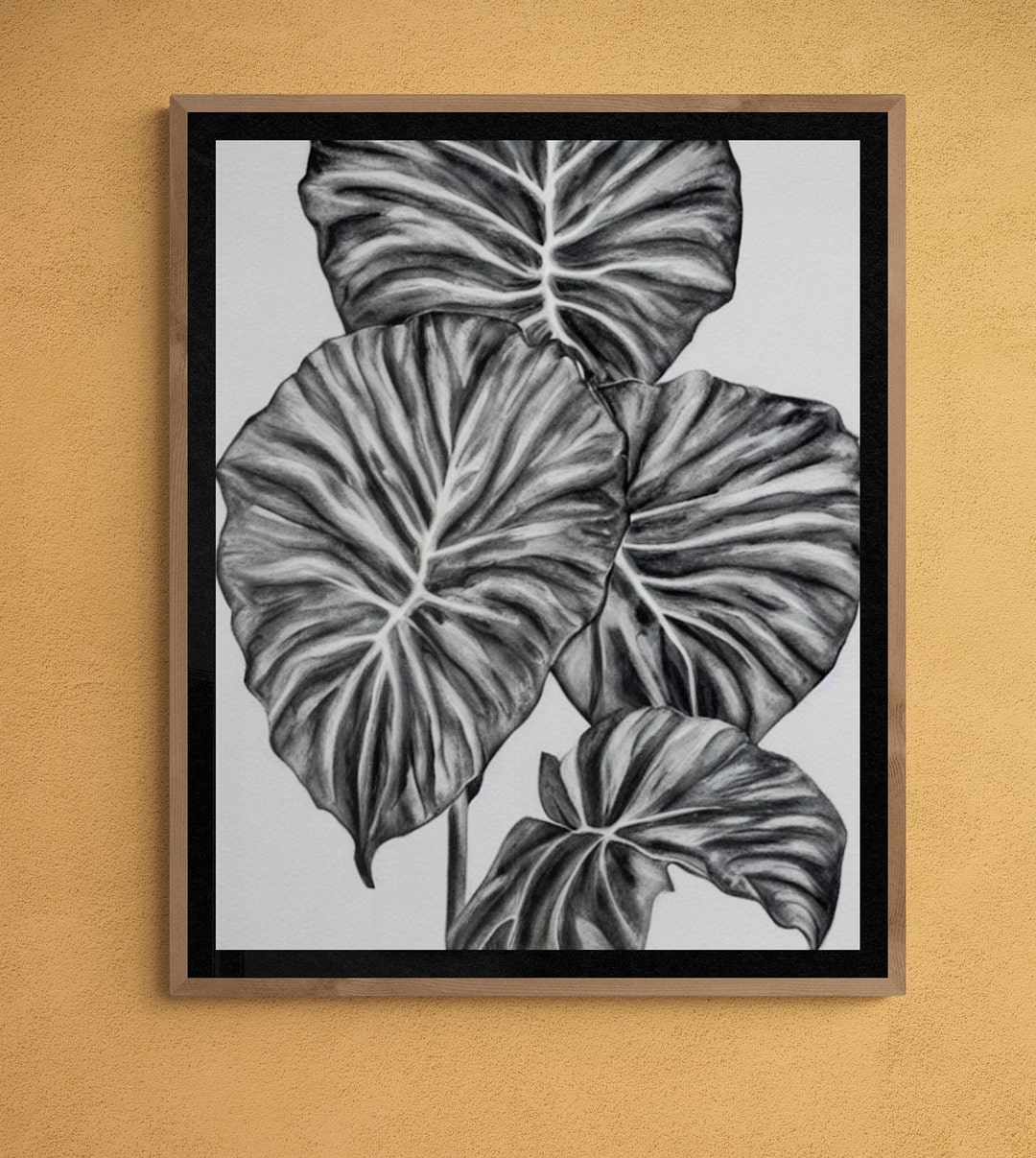 Black and White Plant Drawing - Etsy