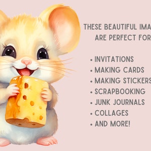 Watercolour Mouse and Cheese Clipart Cheese and Wine PNG Digital Image ...
