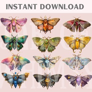 Watercolour Bejeweled Moth Clipart Royal Moths PNG Digital Image ...