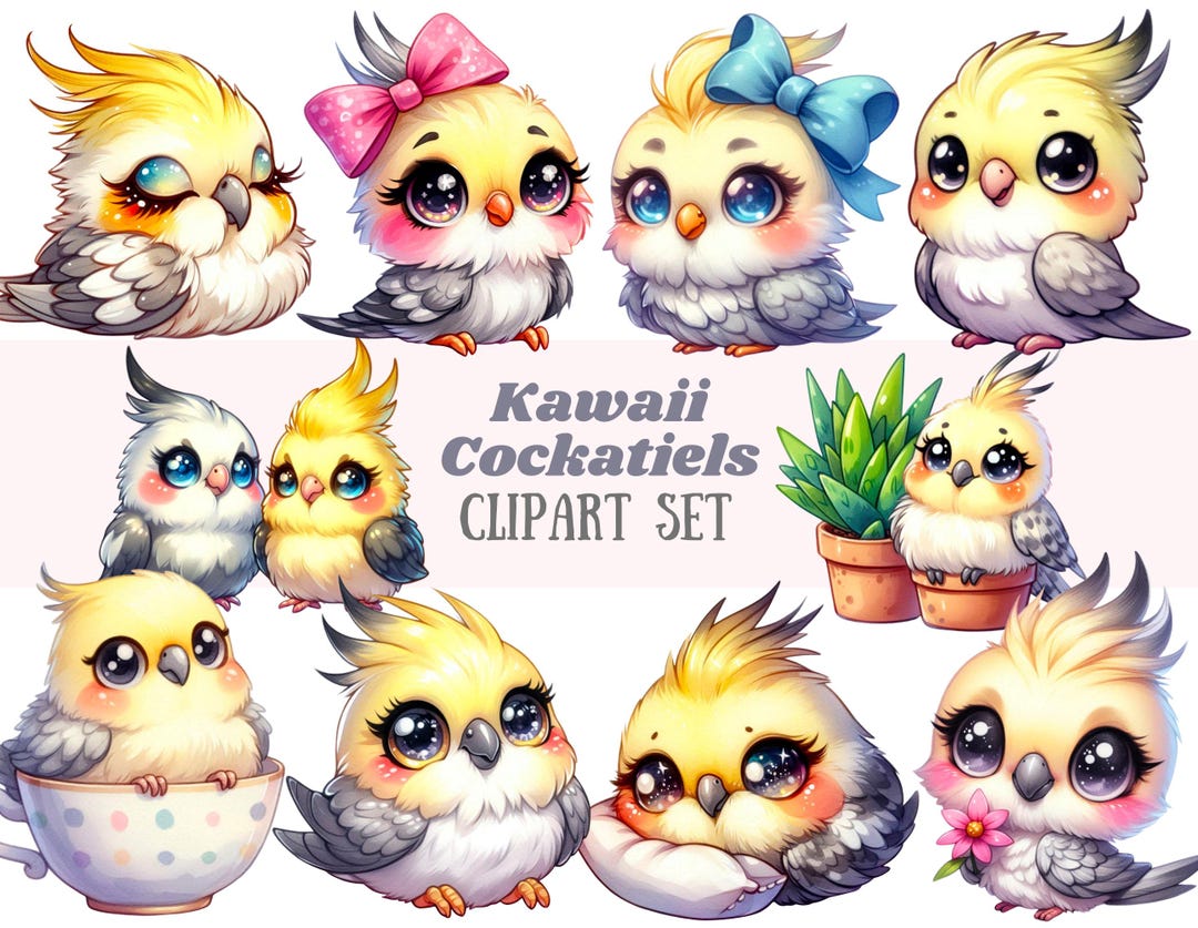 Watercolour Kawaii Cockatiel Clipart Chibi Pet Bird PNG Digital Image ...