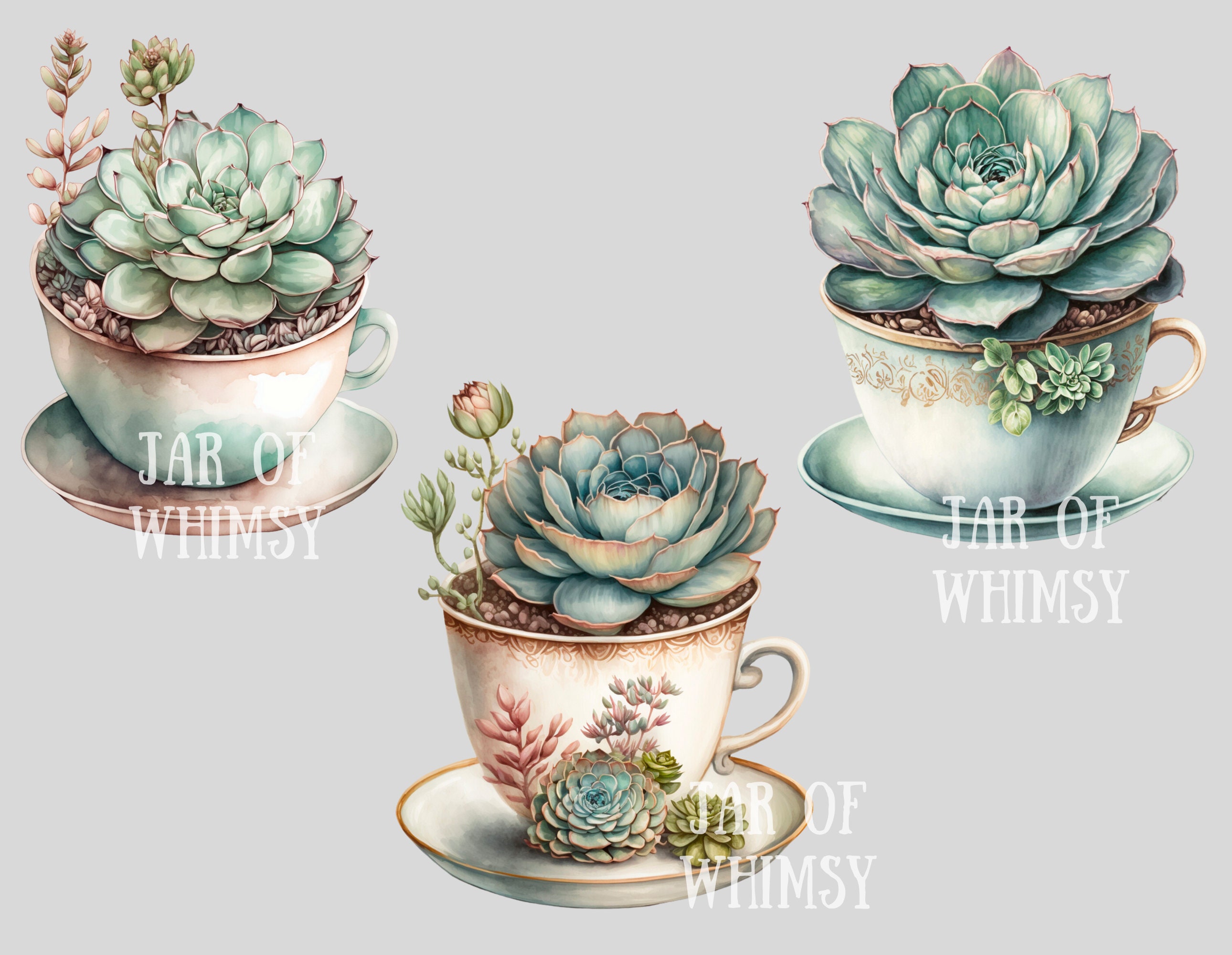 Watercolour Succulent Teacup Clipart Houseplants PNG Digital Image ...