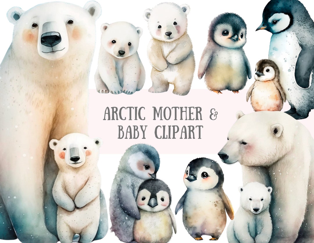 Watercolour Arctic Mother & Baby Clipart - Penguins Polar Bears PNG ...
