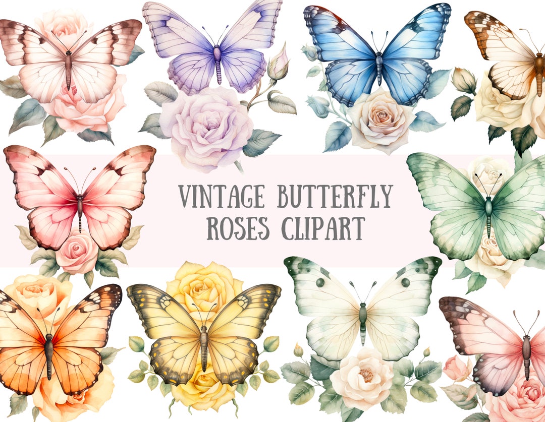 Watercolour Vintage Butterfly Rose Clipart Pastel Floral PNG Digital ...