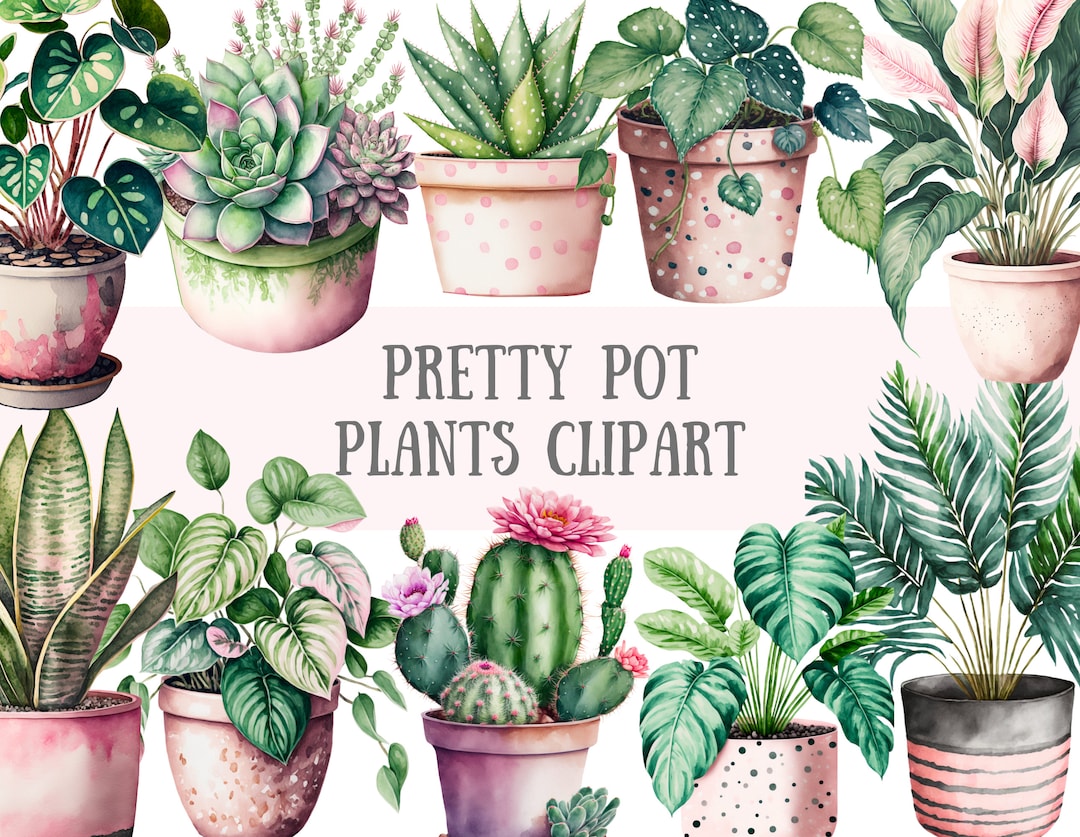 Watercolour Pretty Pot Plants Clipart - Houseplant Love PNG Digital ...