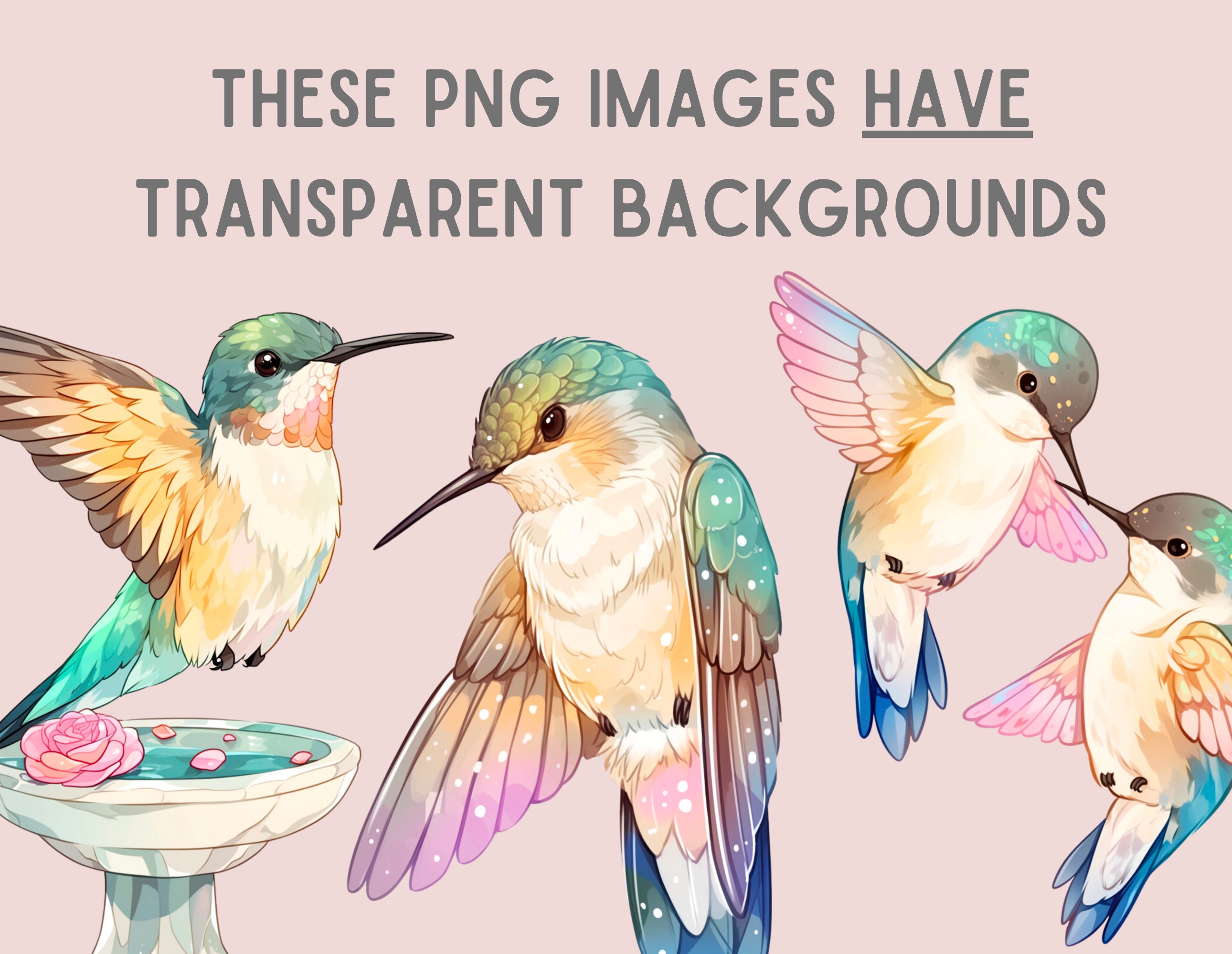 Watercolour Pastel Hummingbird Clipart Cute Rainbow Bird PNG Digital ...