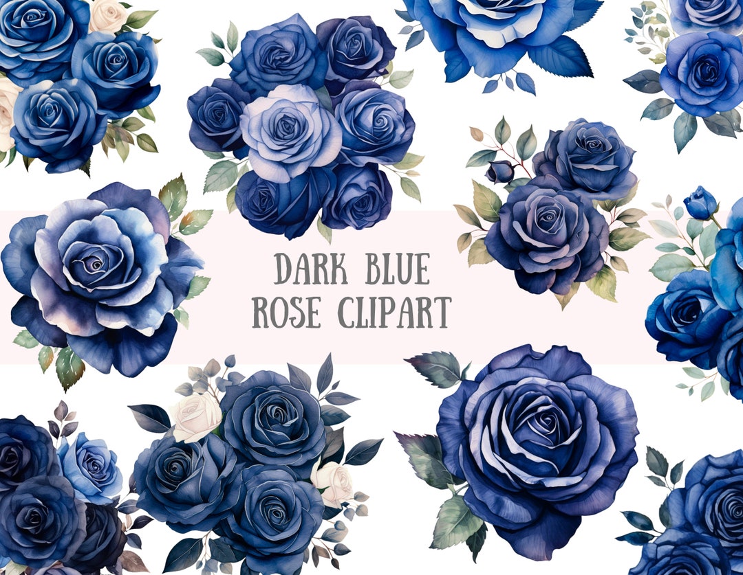 Watercolour Dark Blue Rose Clipart Navy Blue Flower Graphics PNG ...